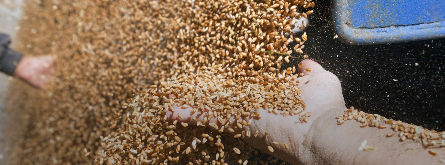 Grain handling in an age of uncertainty